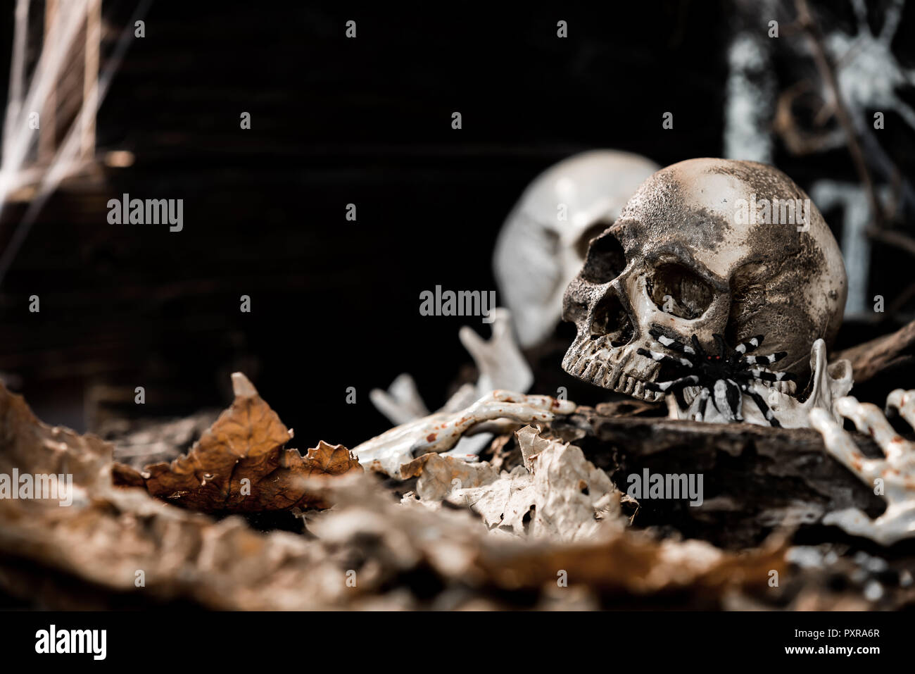 Happy Halloween concept. Trick or treat in autumn season. Scary and boo ...