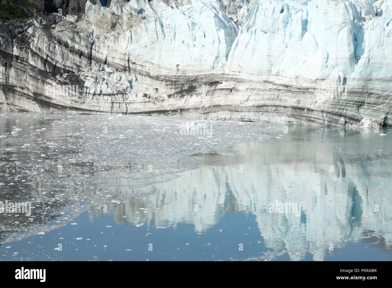 A Picture of a Growing Glacier in Glacier Bay, AK Stock Photo - Alamy