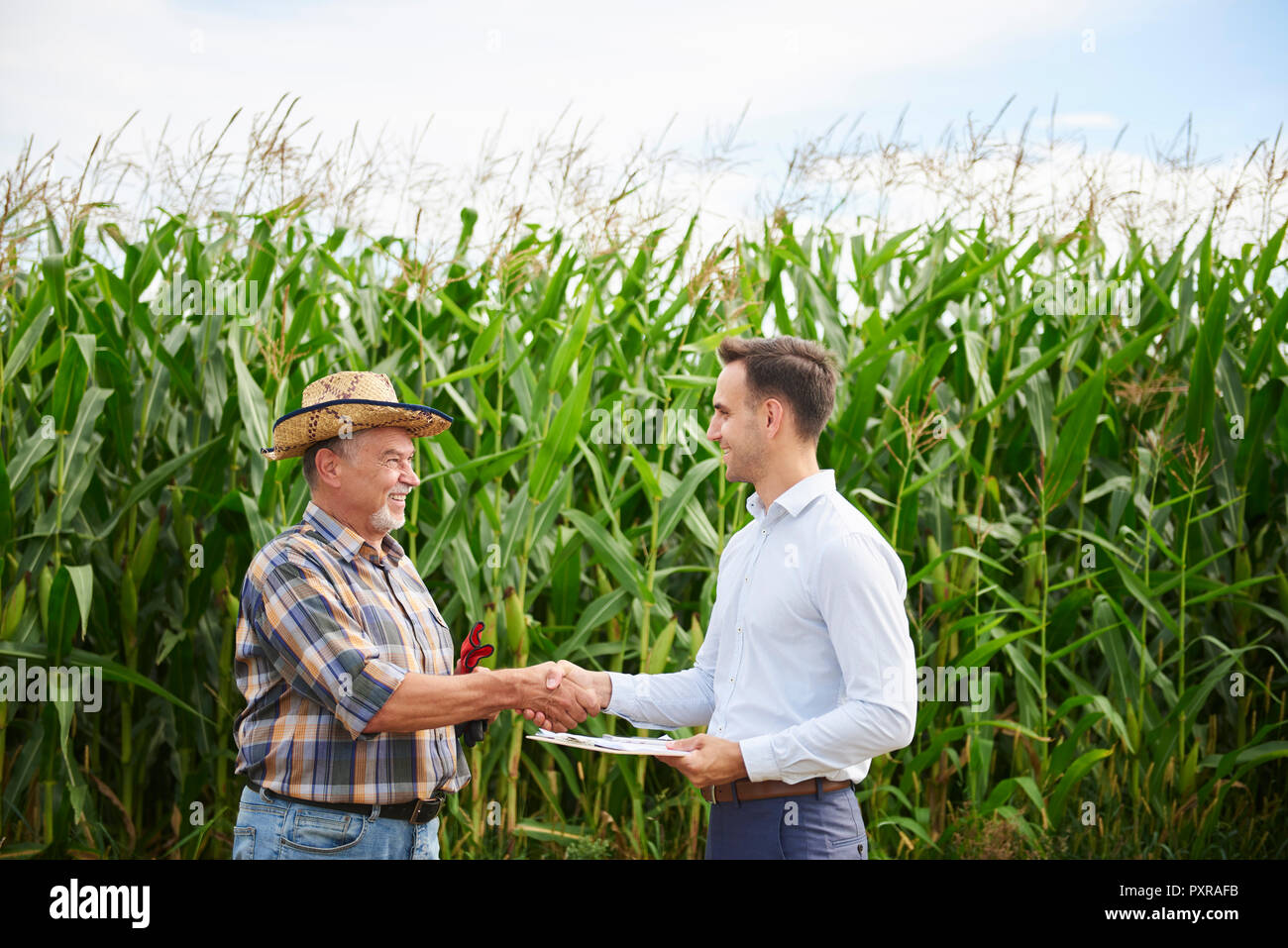 Farmer and businessman shaking hands at the cornfield Stock Photo - Alamy