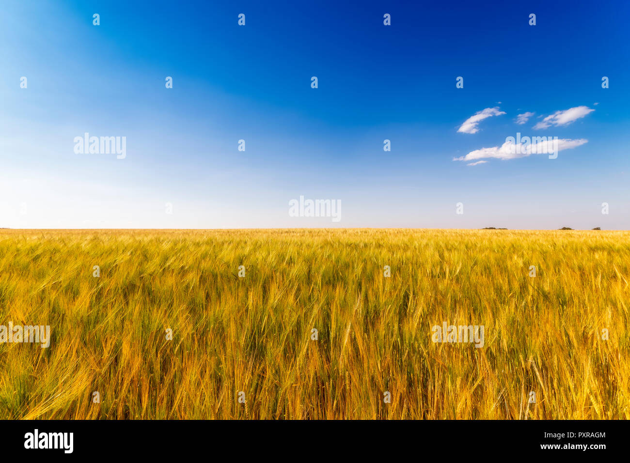 Broad field of view hi-res stock photography and images - Alamy