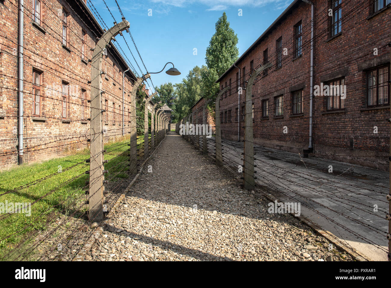 Barbed wire fencing lines either side barracks at Auschwitz-Birkenau ...