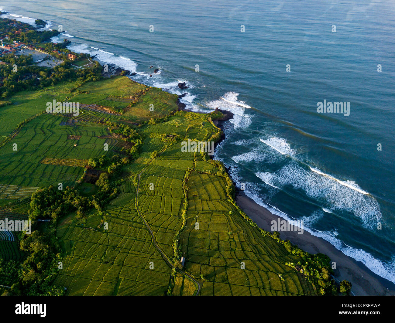 Kedungu hi-res stock photography and images - Alamy