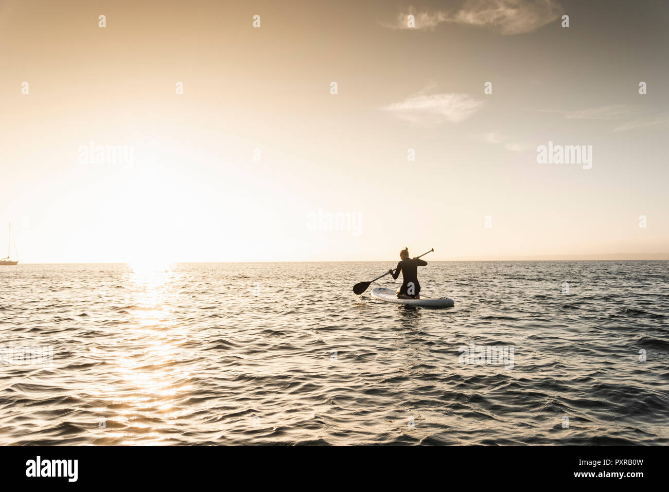 People surfing on paddleboards sunset hi-res stock photography and ...