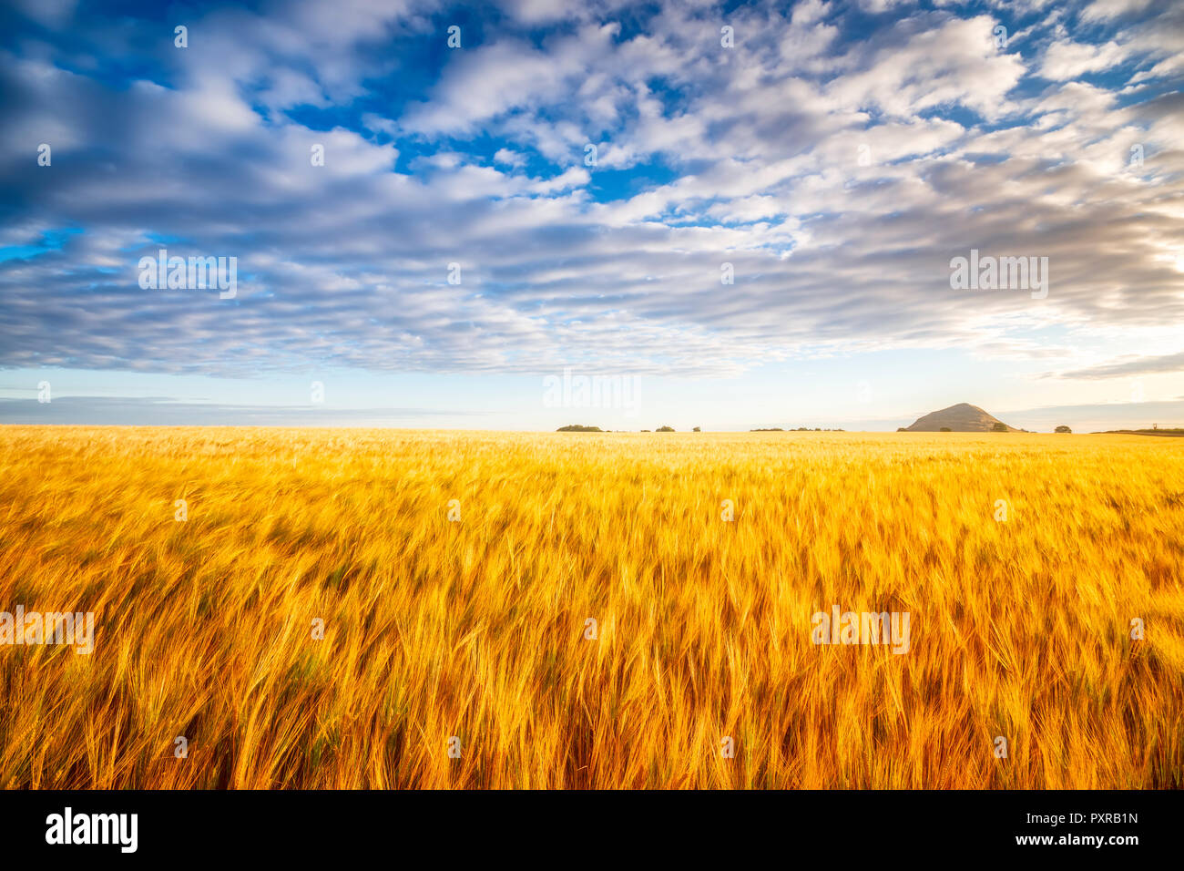 Broad field of view hi-res stock photography and images - Alamy