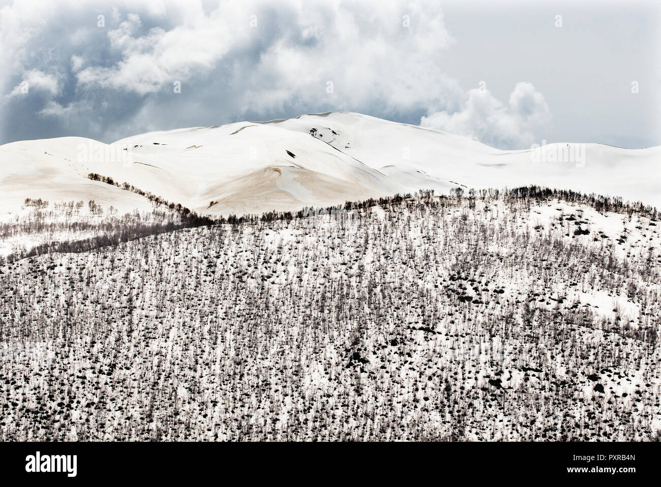 Greater caucasus range hi-res stock photography and images - Alamy