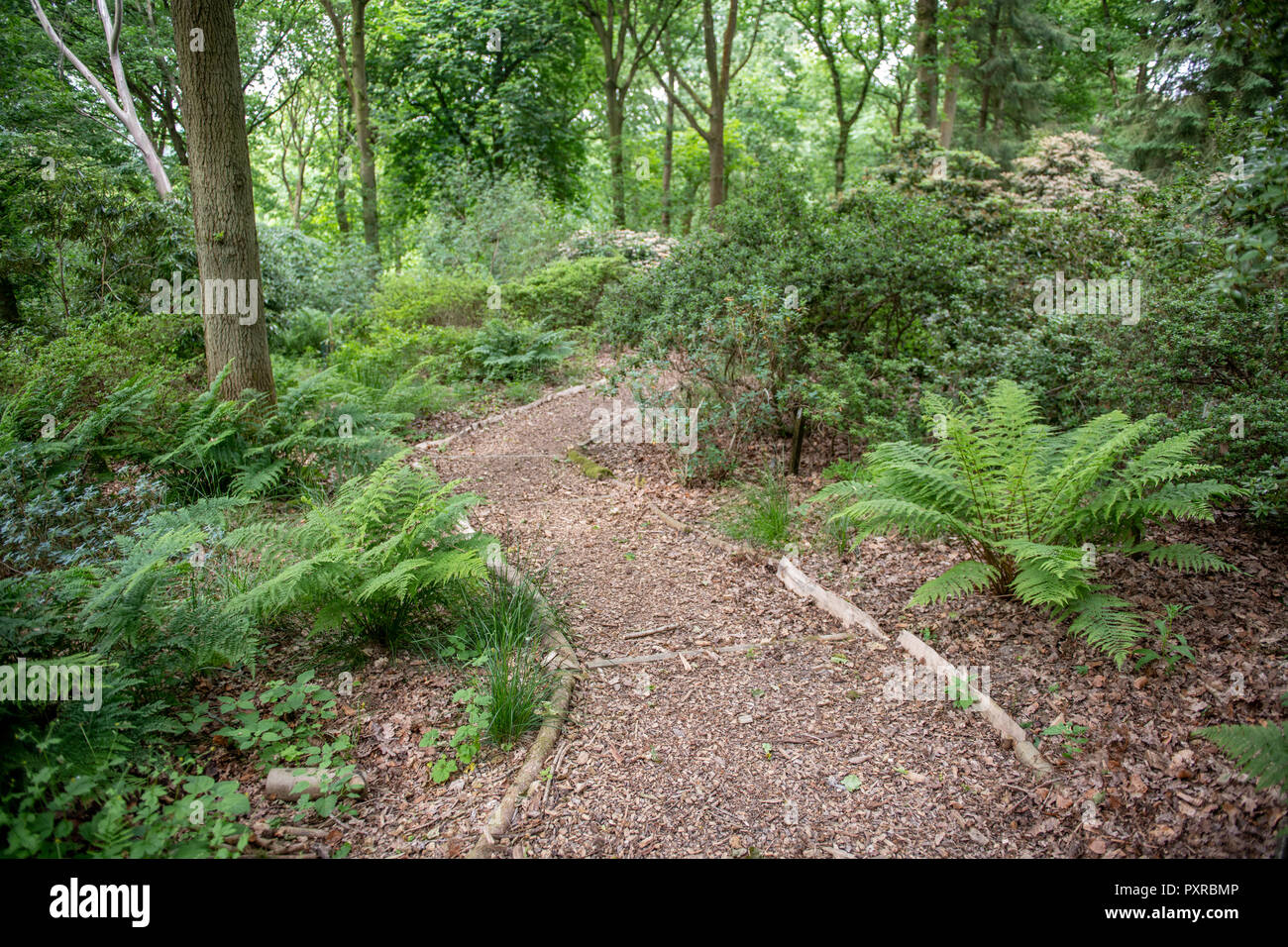 Trail castle hi-res stock photography and images - Alamy