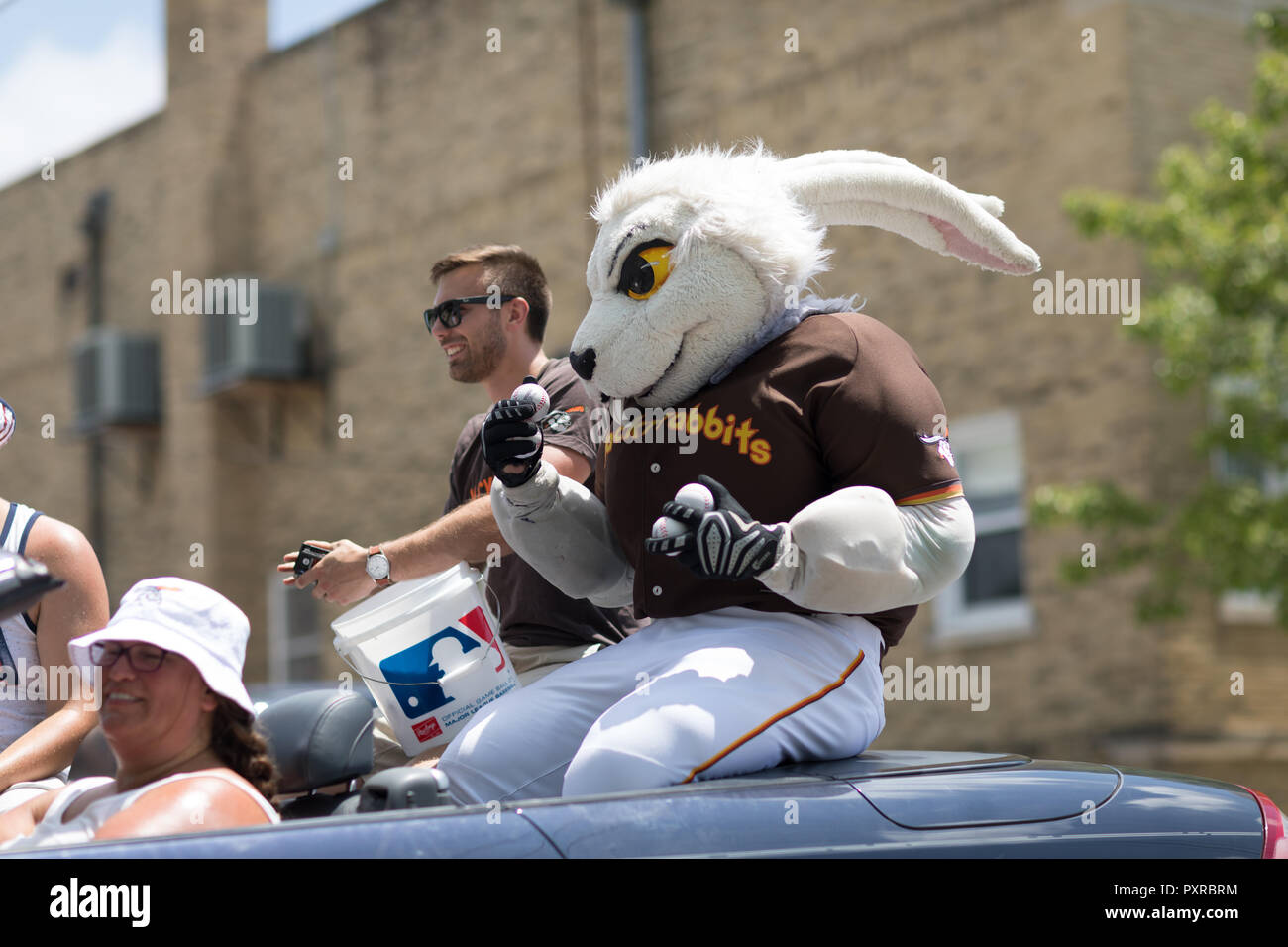 Jackrabbits hi-res stock photography and images - Alamy