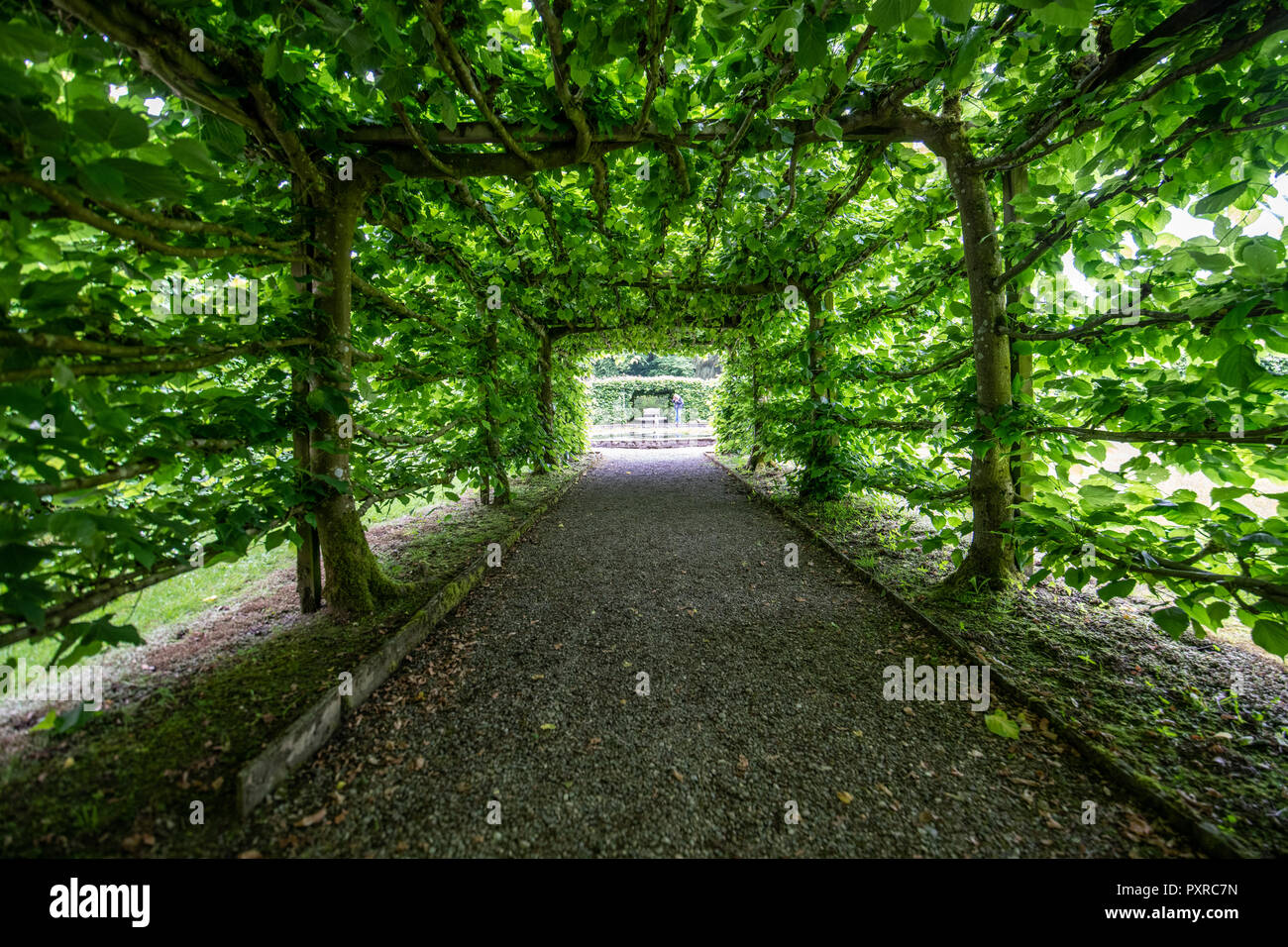 Canopy pathway hi-res stock photography and images - Alamy