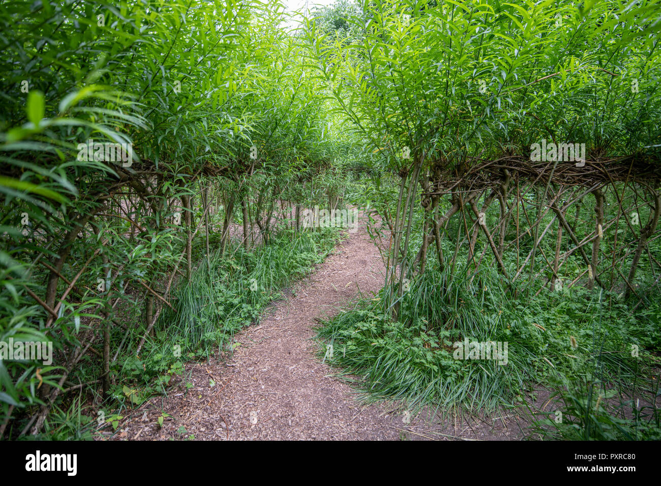 Pathwaythrough hi-res stock photography and images - Alamy