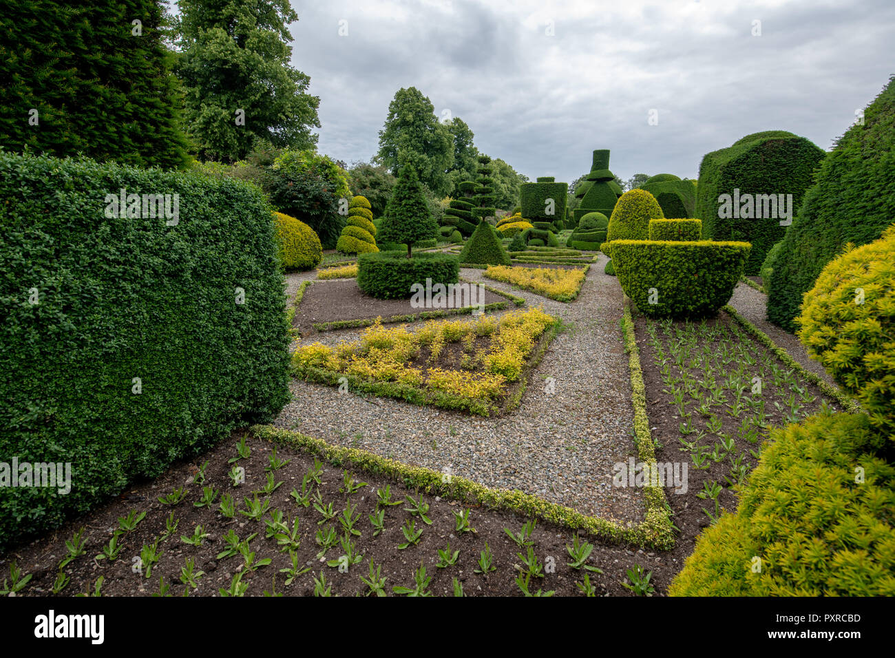 Geometric planting border hi-res stock photography and images - Alamy