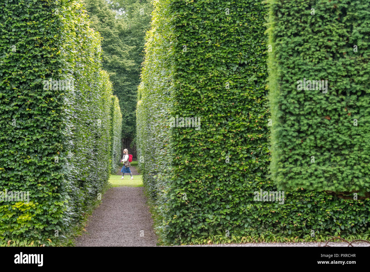 Pathway among trees hi-res stock photography and images - Alamy