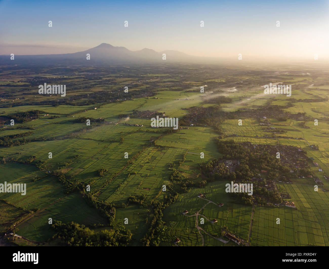 Kedungu hi-res stock photography and images - Alamy