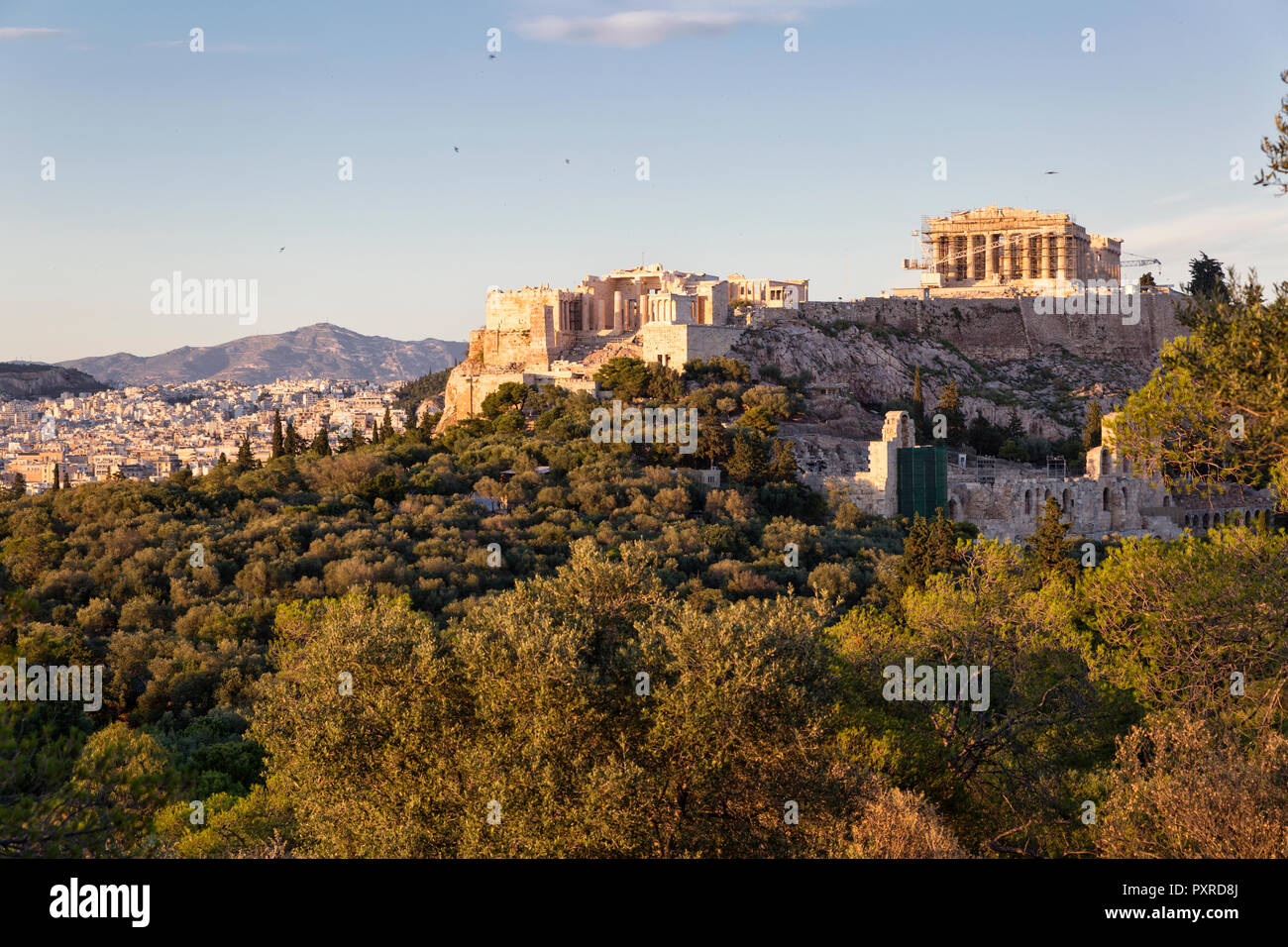 Greece, Athens, View of the Acropolis from Pnyx Stock Photo - Alamy