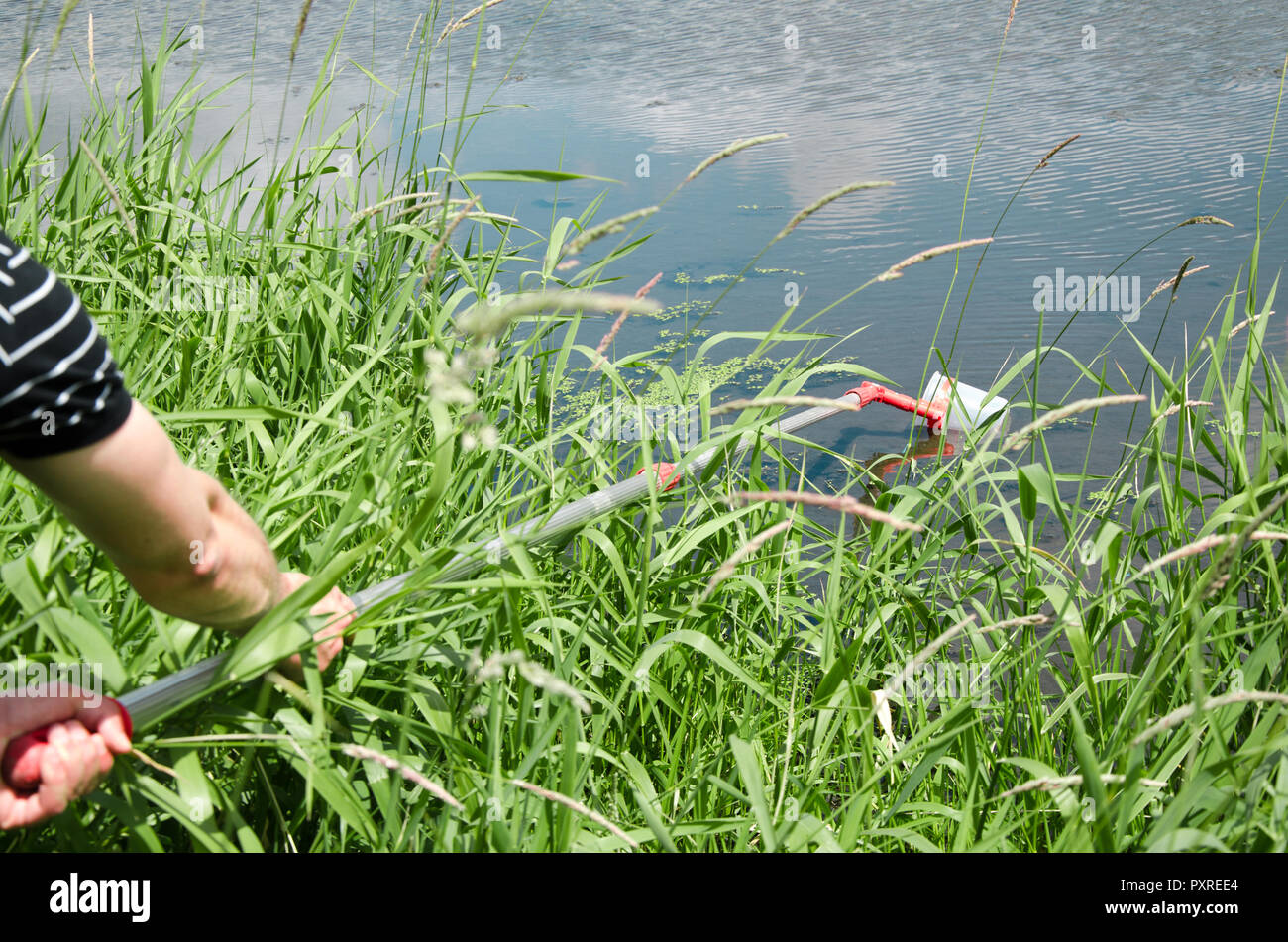 Take samples of water for laboratory testing. The concept - analysis of ...