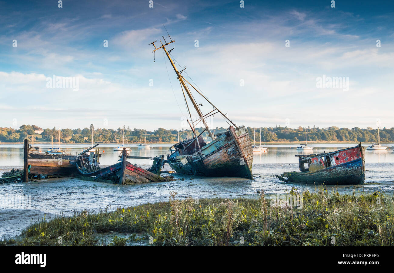 Derelict boats rot on the mud at Pin Mill Stock Photo - Alamy