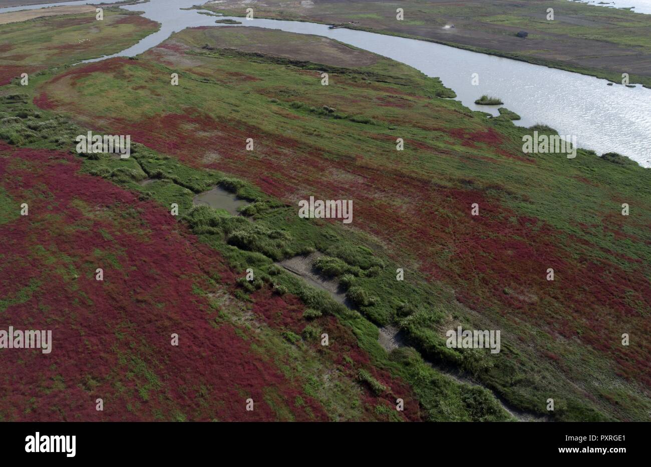 Asia orientale hi-res stock photography and images - Alamy