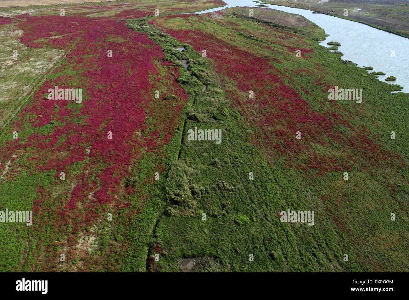 Asia orientale hi-res stock photography and images - Alamy