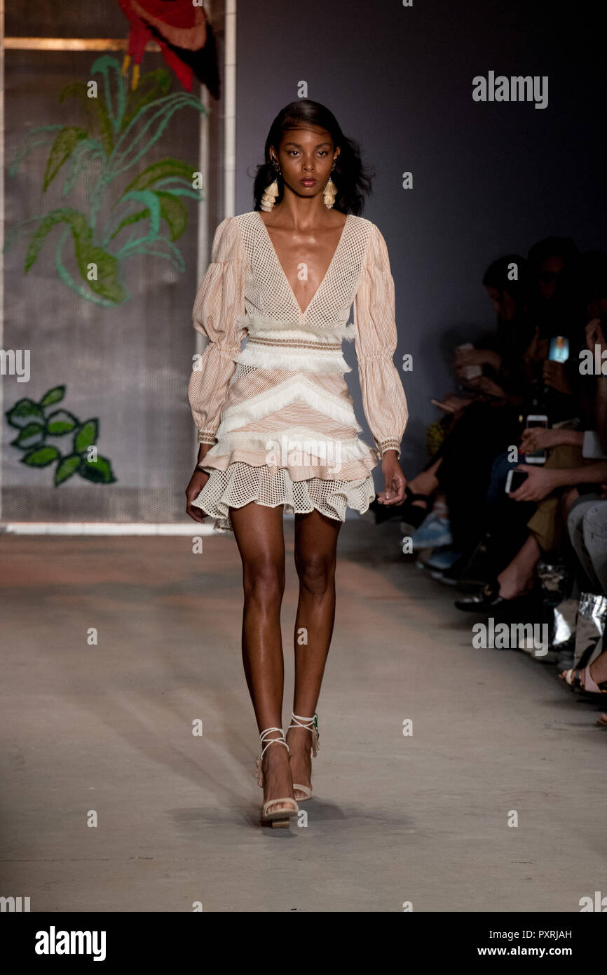 Sao Paulo, Brazil. 23rd Oct 2018. SPFW N46 - Parade of the PatBo brand ...