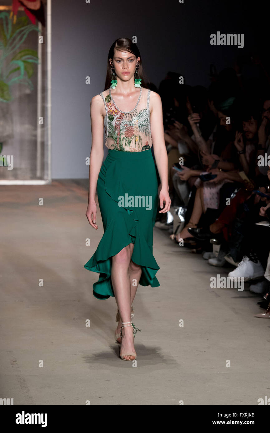 Sao Paulo, Brazil. 23rd Oct 2018. SPFW N46 - Parade of the PatBo brand ...