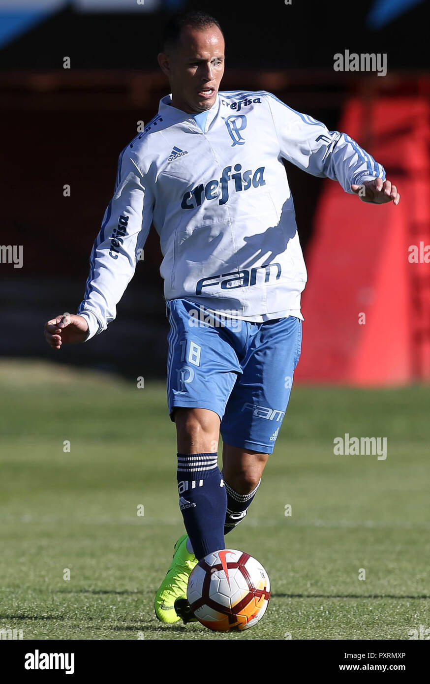 Buenos Aires, Argentina. 23rd Oct, 2018. The player Guerra, from SE ...