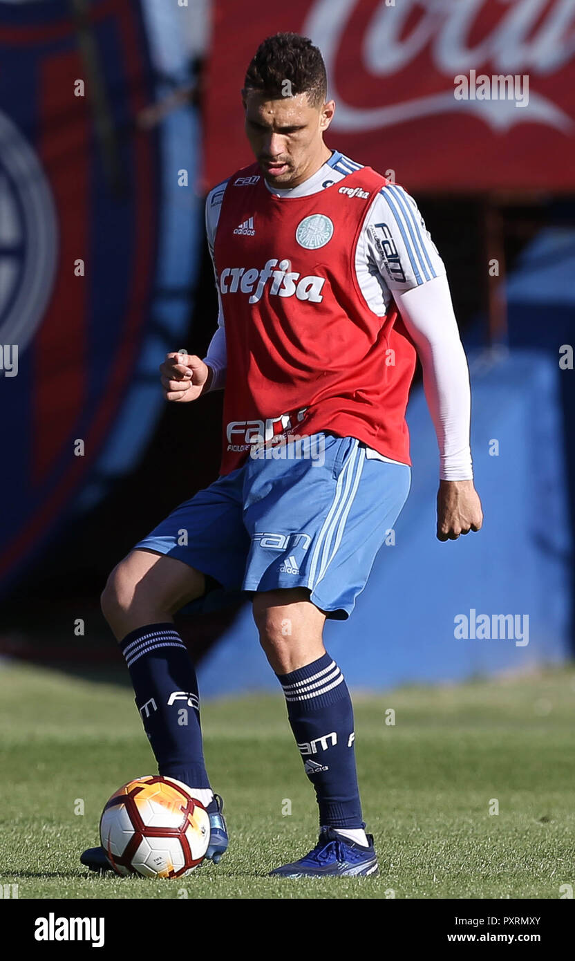 Buenos Aires, Argentina. 23rd Oct, 2018. The player Moisés, from SE ...