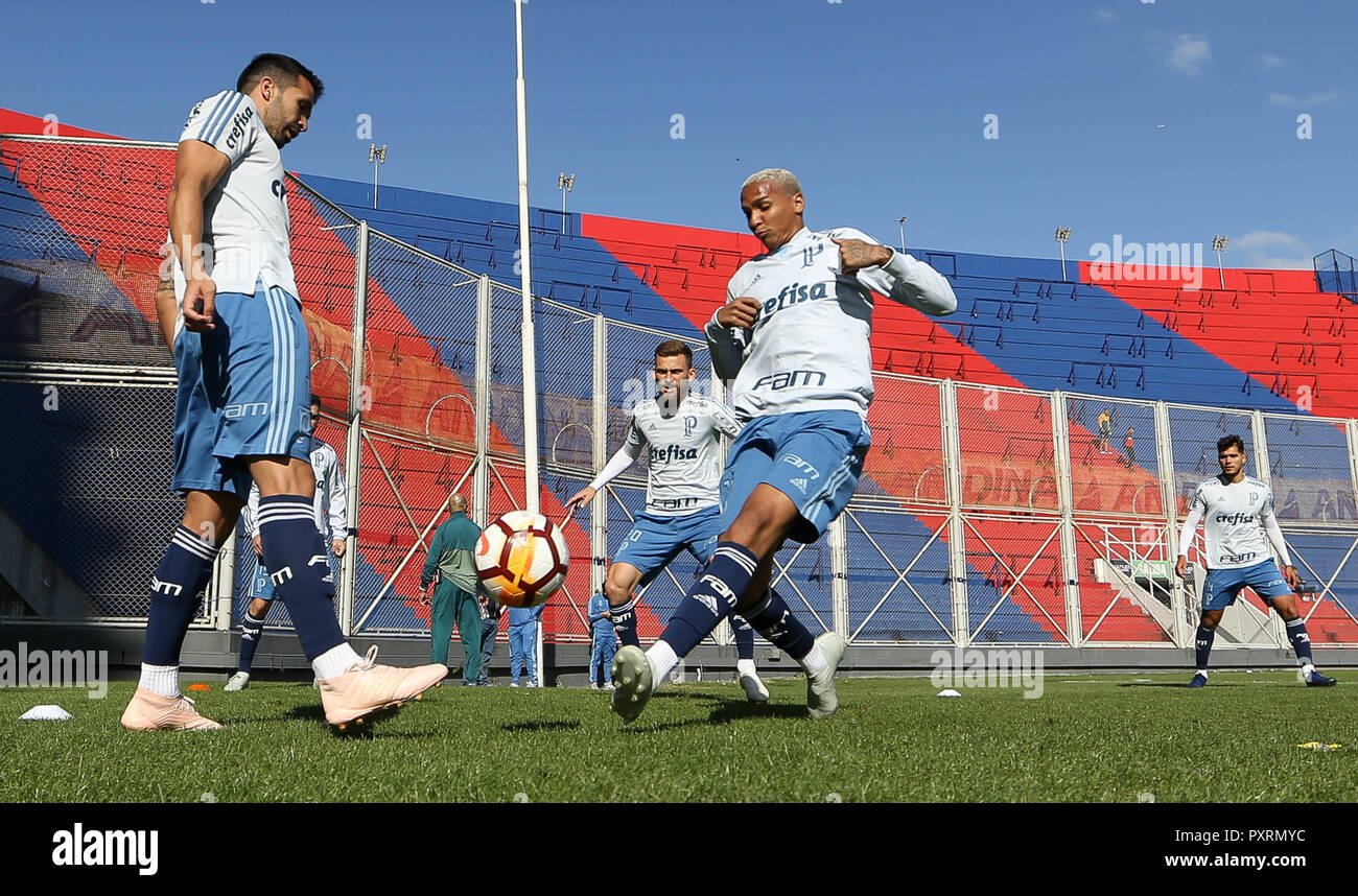 Buenos Aires, Argentina. 23rd Oct, 2018. The player Luan, from SE ...