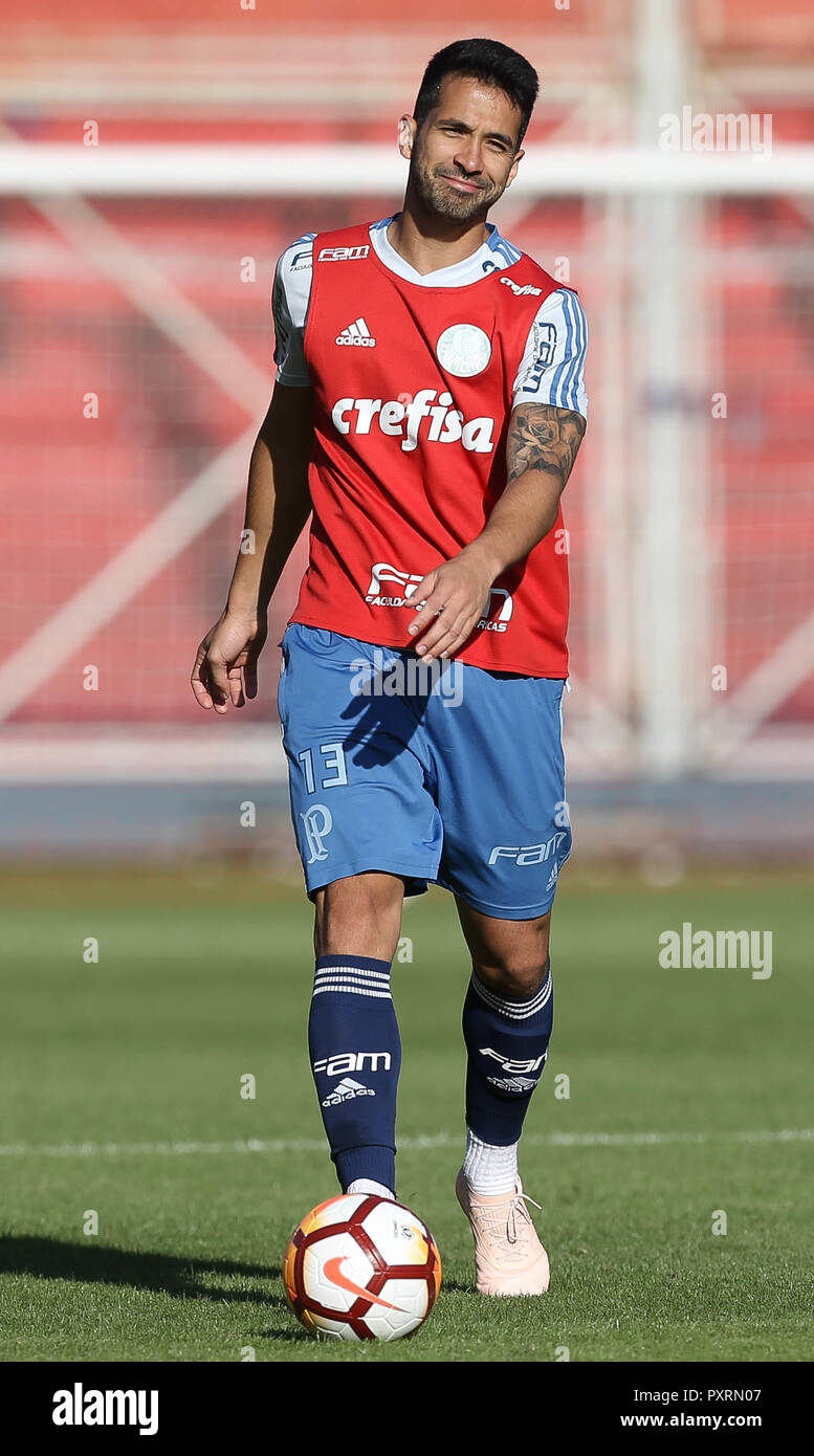 Buenos Aires, Argentina. 23rd Oct, 2018. The player Luan, from SE ...