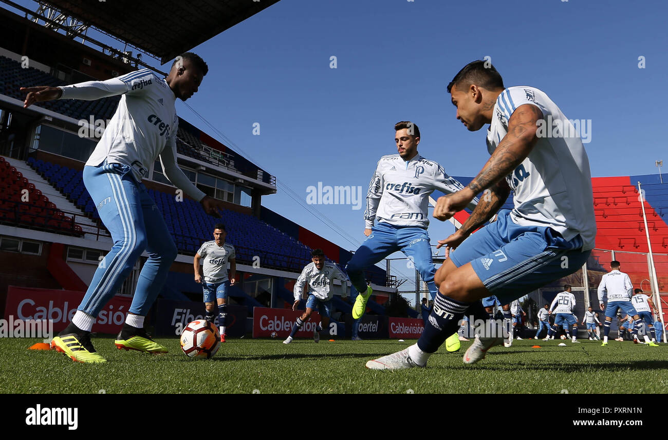 Buenos Aires, Argentina. 23rd Oct, 2018. The player Pedrão, from SE ...
