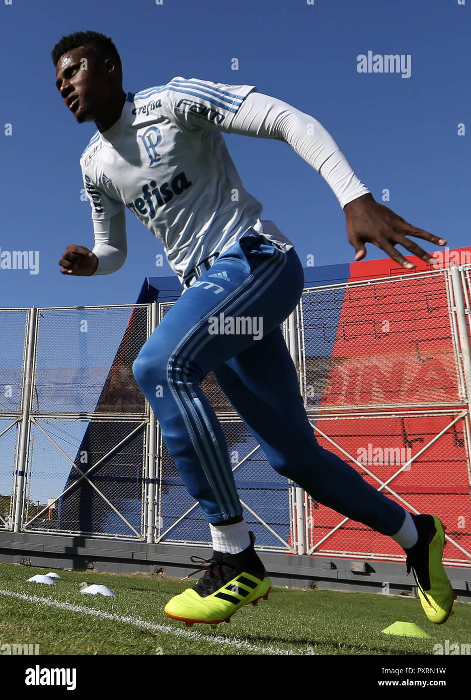 Buenos Aires, Argentina. 23rd Oct, 2018. The player Pedrão, from SE ...