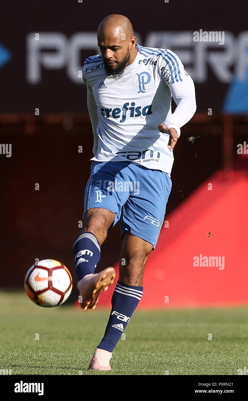 Buenos Aires, Argentina. 23rd Oct, 2018. The player Felipe Melo, from ...