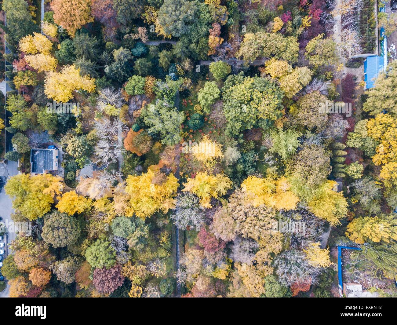 Shenyang, Shenyang, China. 24th Oct, 2018. Shenyang, CHINA-Aerial ...