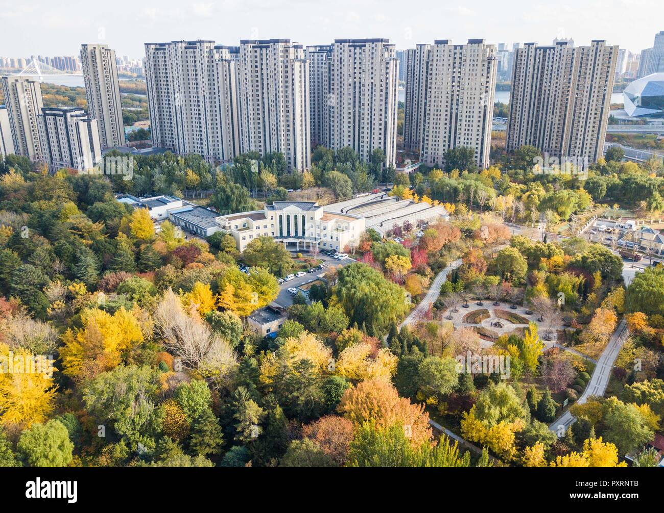 Shenyang, Shenyang, China. 24th Oct, 2018. Shenyang, CHINA-Aerial ...