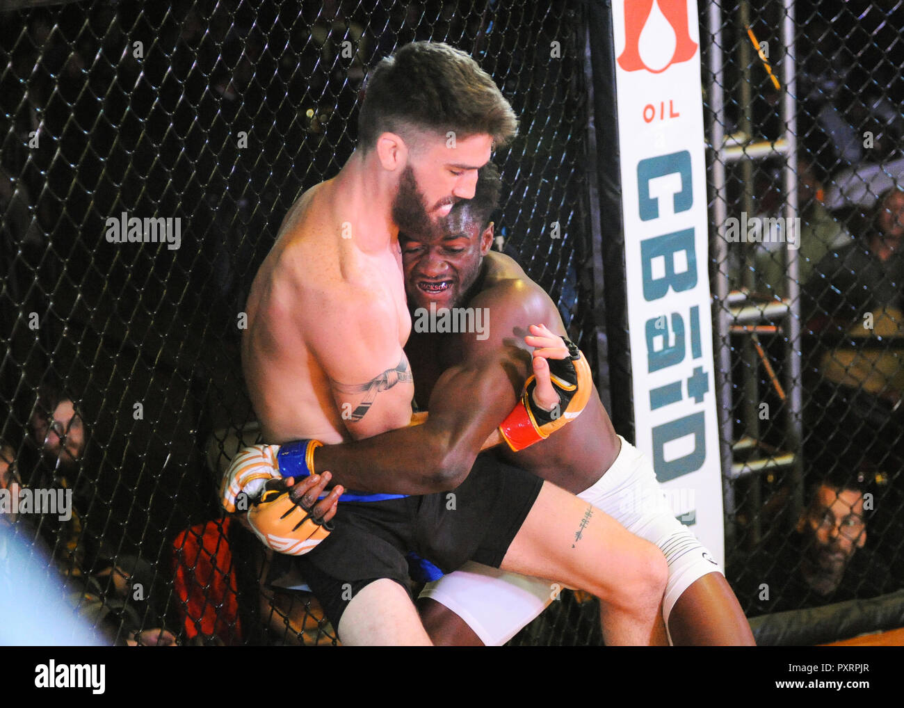 Edwin cooper hi-res stock photography and images - Alamy