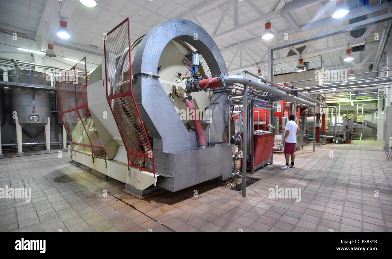 Linea Nivnice, a company producing fruit drinks, is expecting record ...