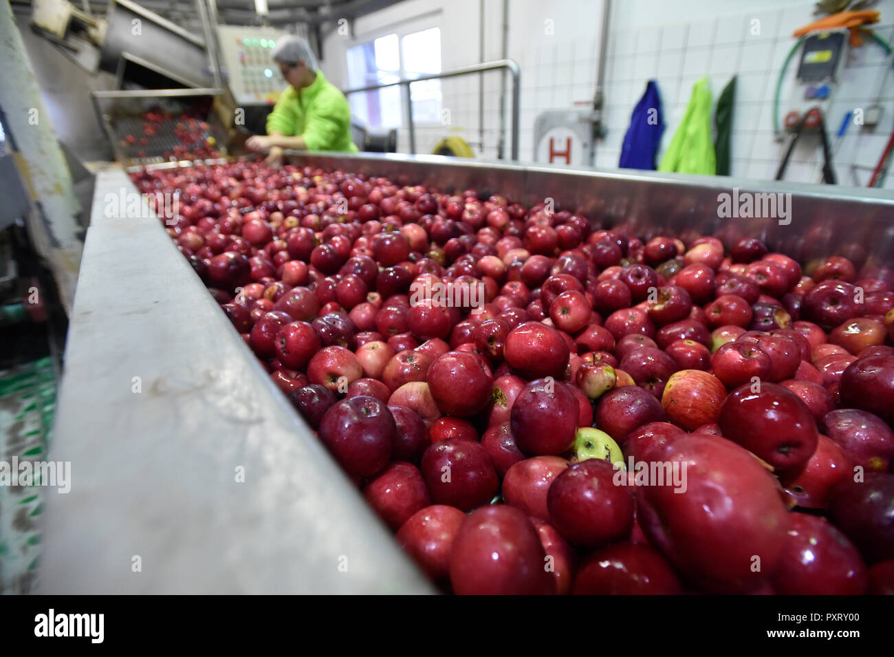 Linea Nivnice, a company producing fruit drinks, is expecting record ...