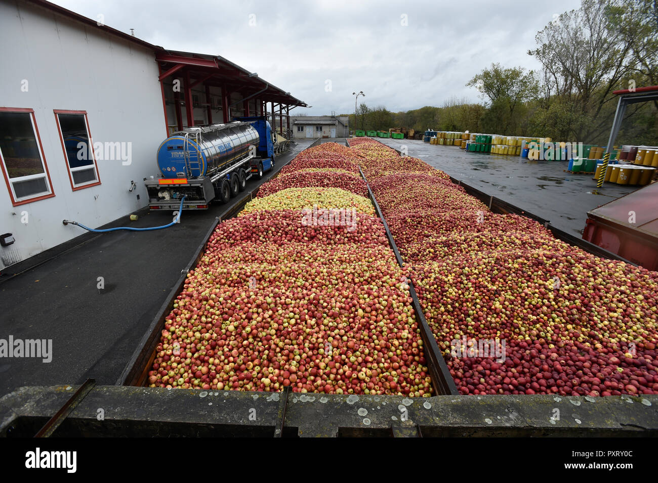 Linea Nivnice, a company producing fruit drinks, is expecting record ...