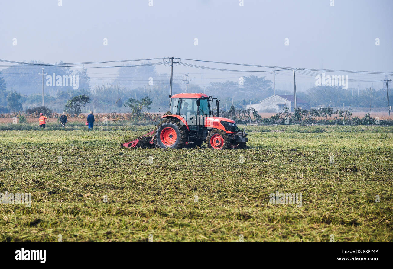 (181024) -- HUZHOU, Oct. 24, 2018 (Xinhua) -- A farmer drives a tractor ...