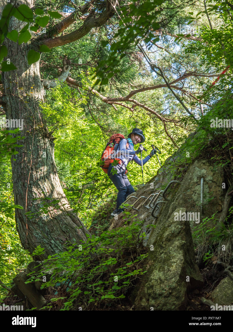 Shikoku 88 temple pilgrim trail hi-res stock photography and images - Alamy
