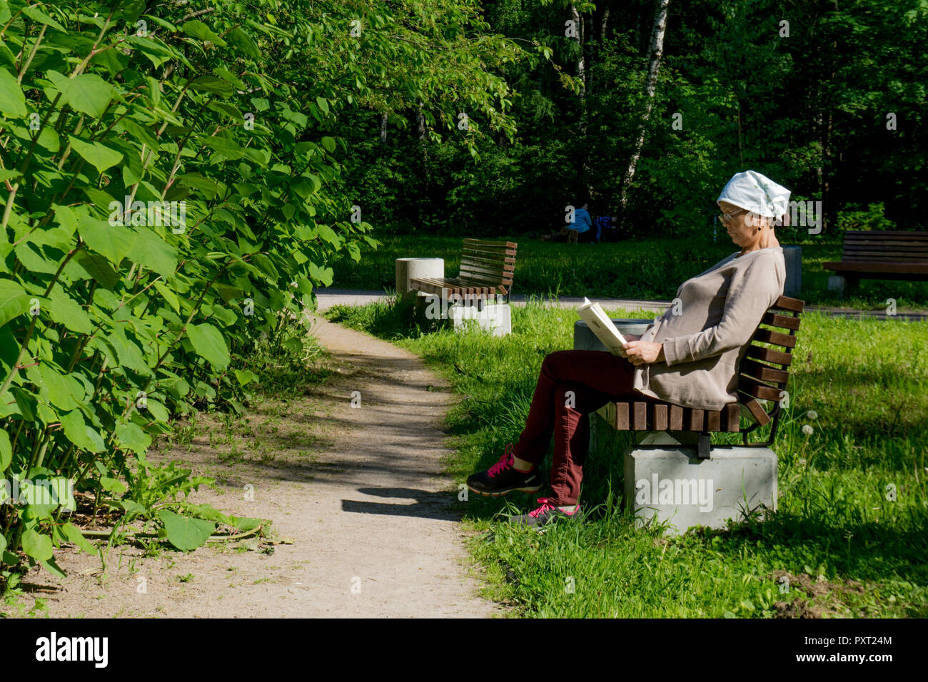 Lady reading a book hi-res stock photography and images - Alamy