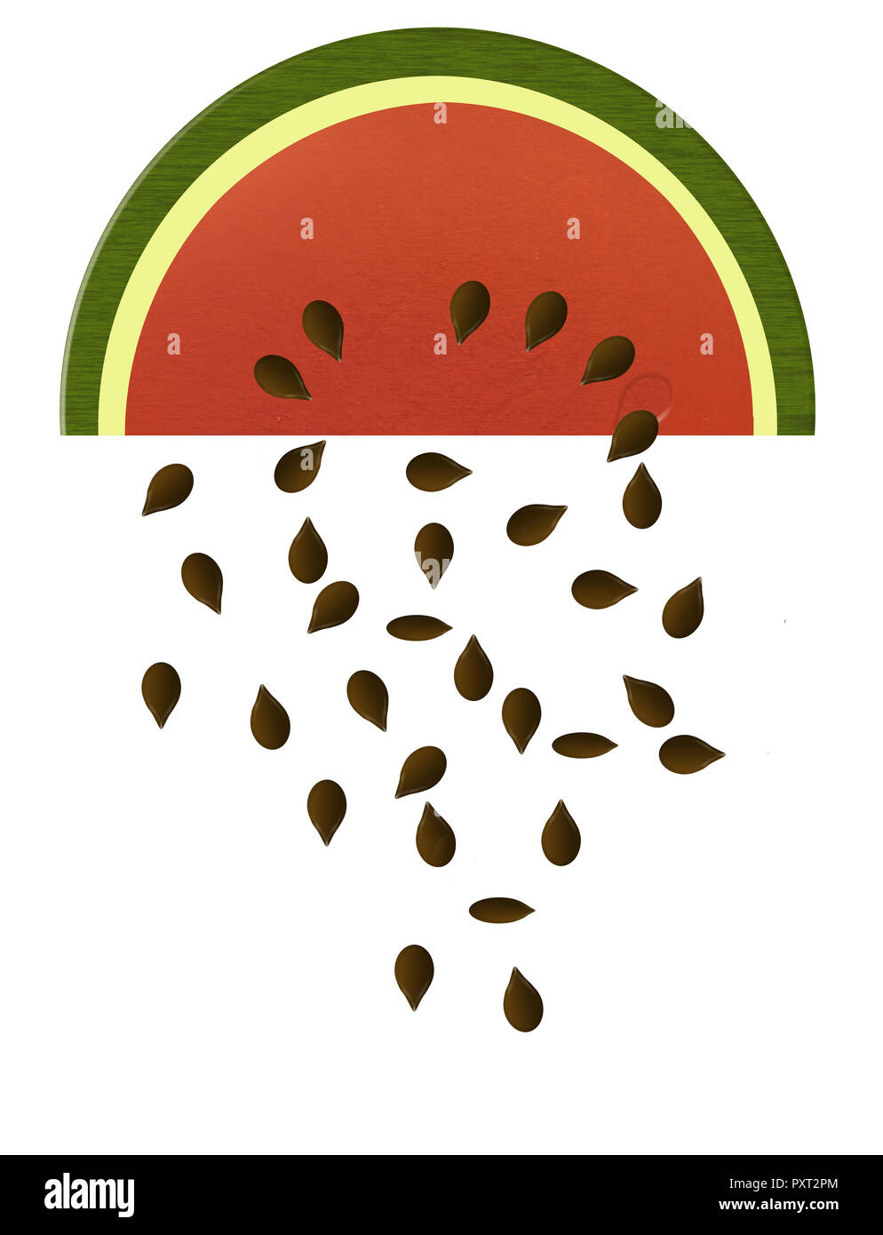 Watermelon Seed Cartoon