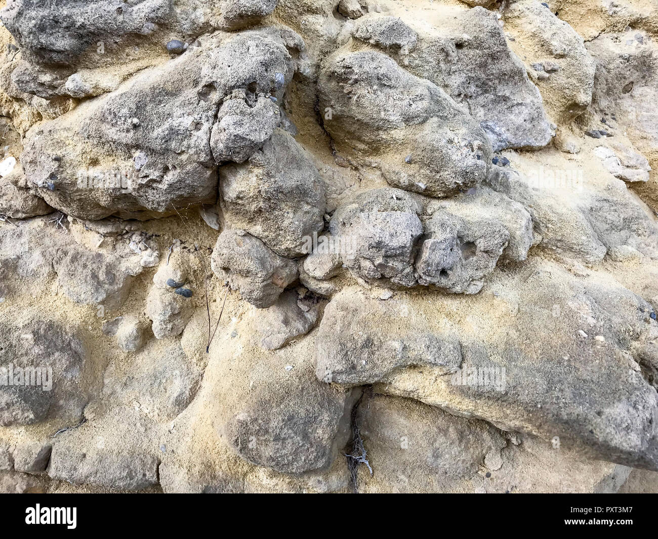 Multiforms hi-res stock photography and images - Alamy