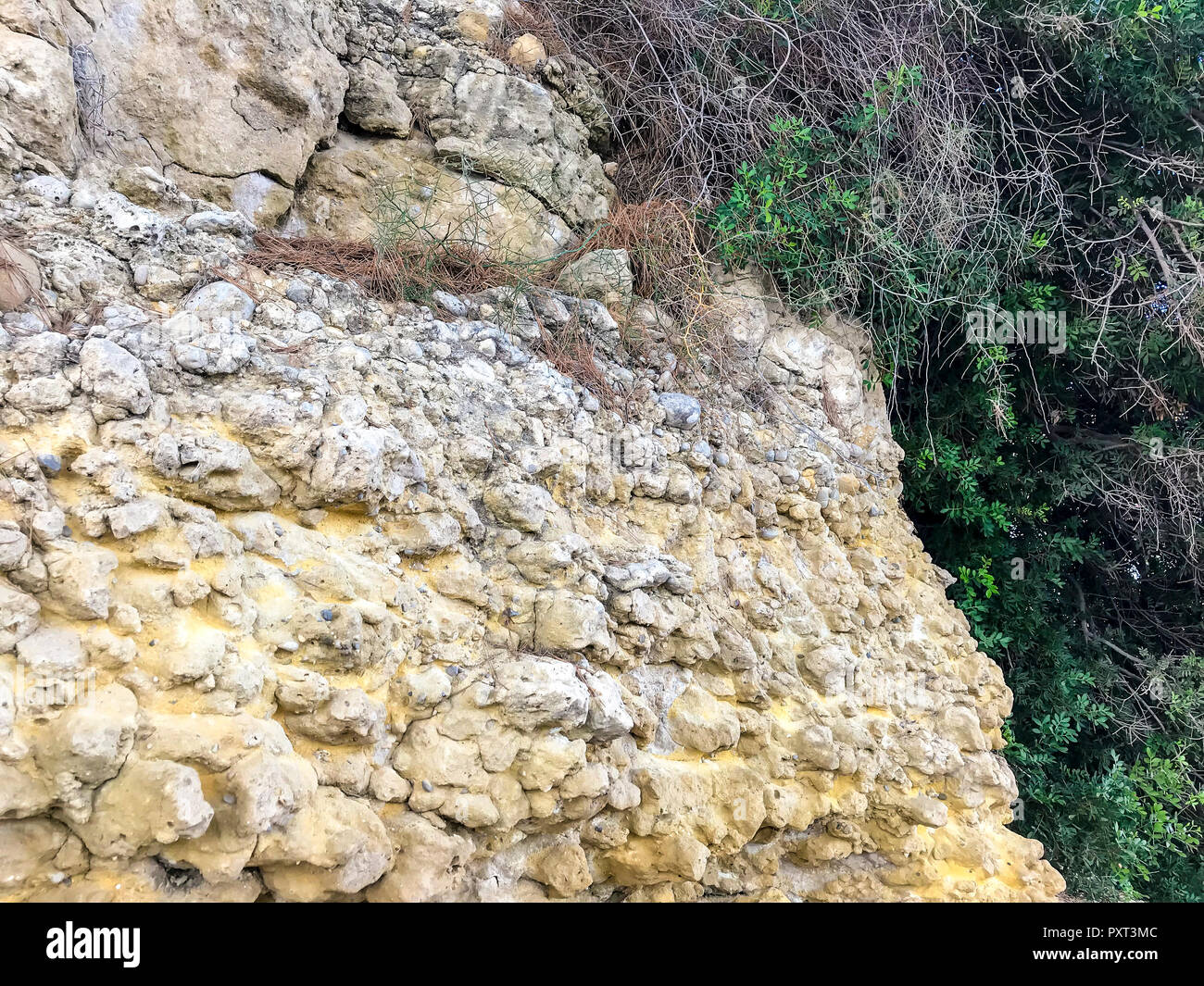 Multiforms hi-res stock photography and images - Alamy