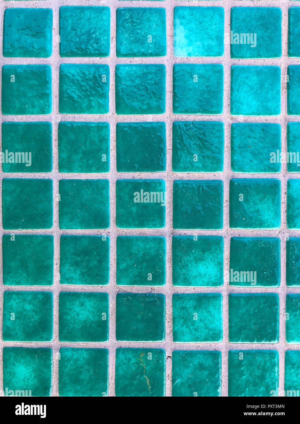 Wall of the pool of green glass tiles. Studio Photo Stock Photo - Alamy