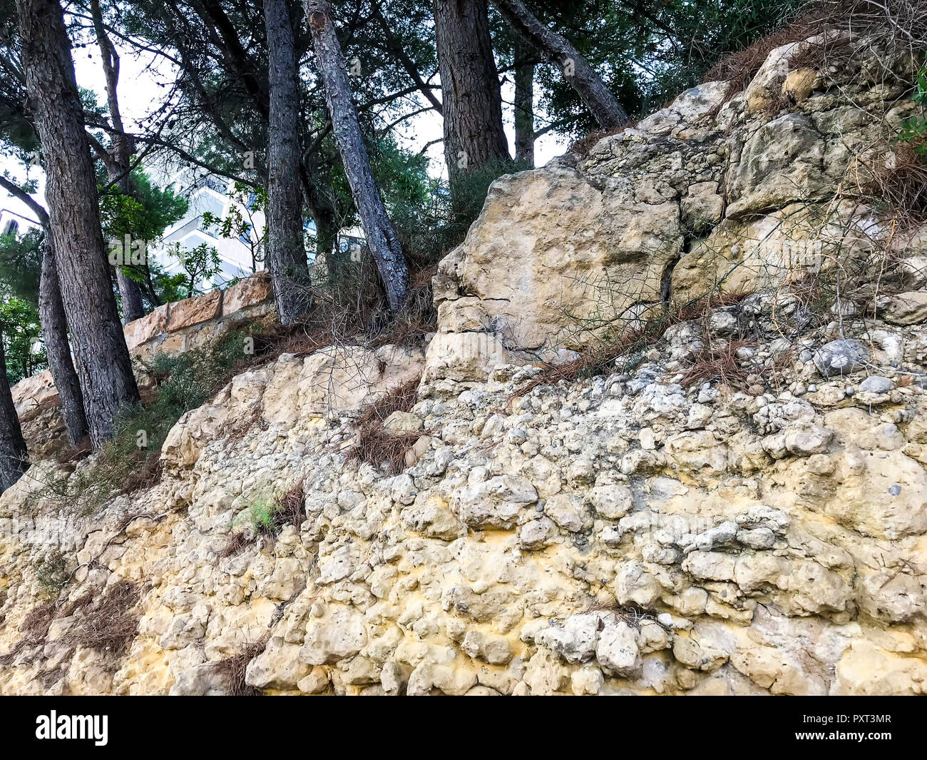 Natural stone, rock formation, sea coast. Studio Photo Stock Photo - Alamy