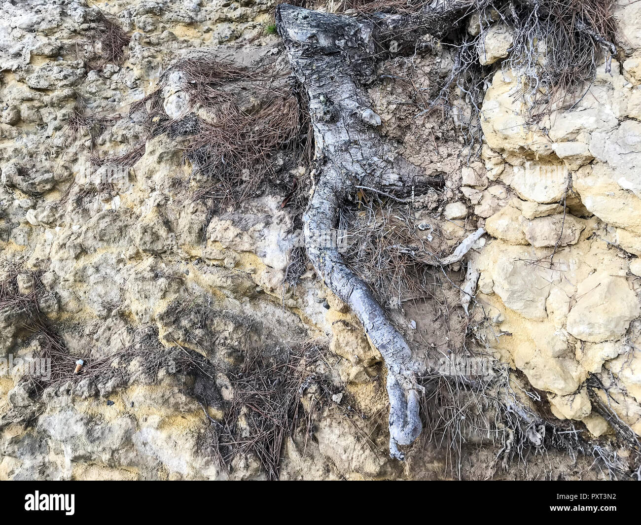 Multiforms hi-res stock photography and images - Alamy