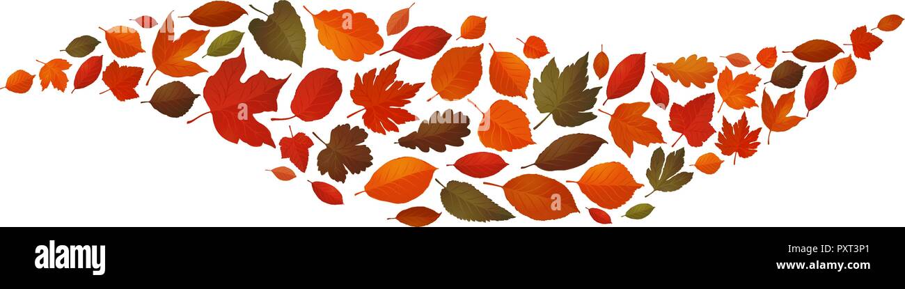 Decorative leaves, pattern. Autumn, leaf fall concept. Vector ...