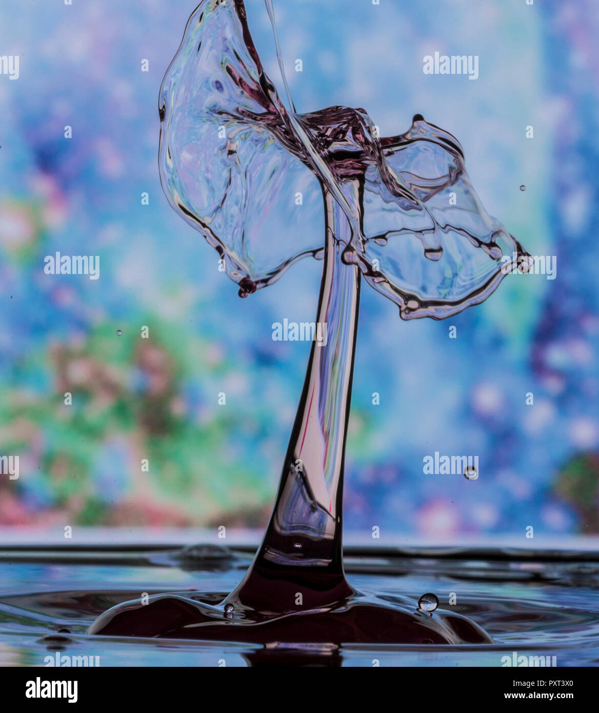 splash drop art water drops Stock Photo - Alamy