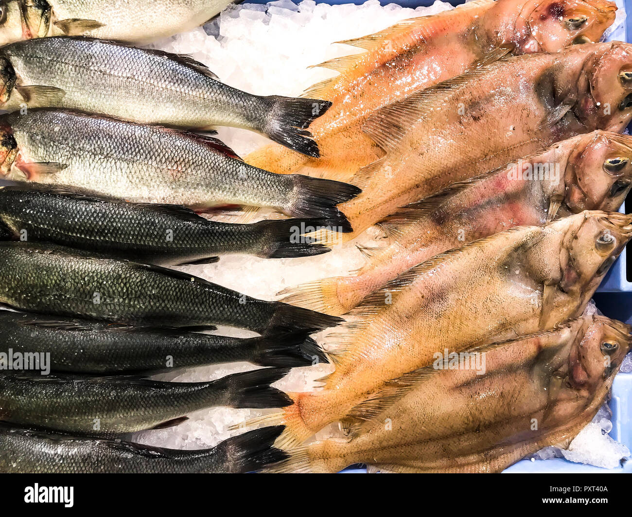 Fresh fish on ice for sale. Studio Photo Stock Photo - Alamy