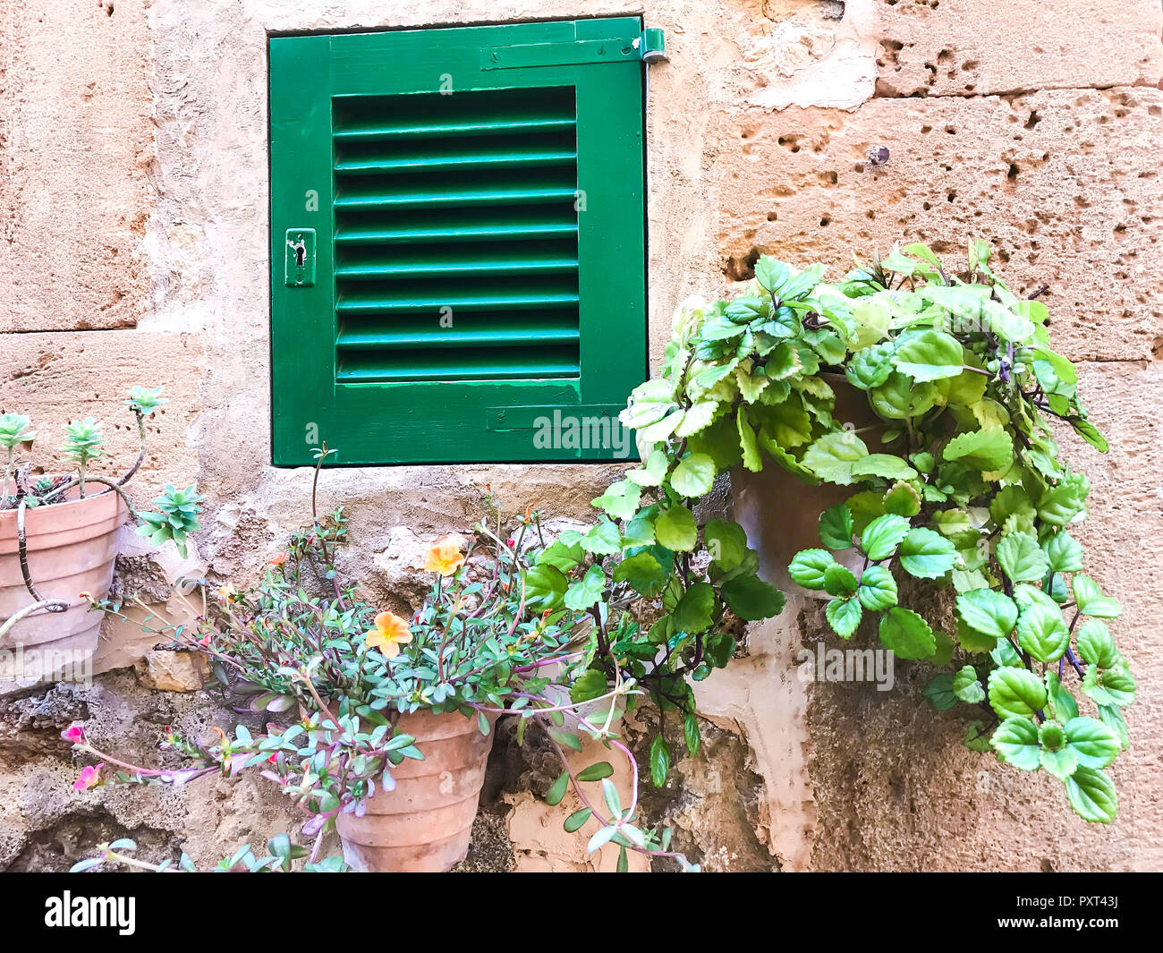 Flower pots on old stone wall. Studio Photo Stock Photo - Alamy