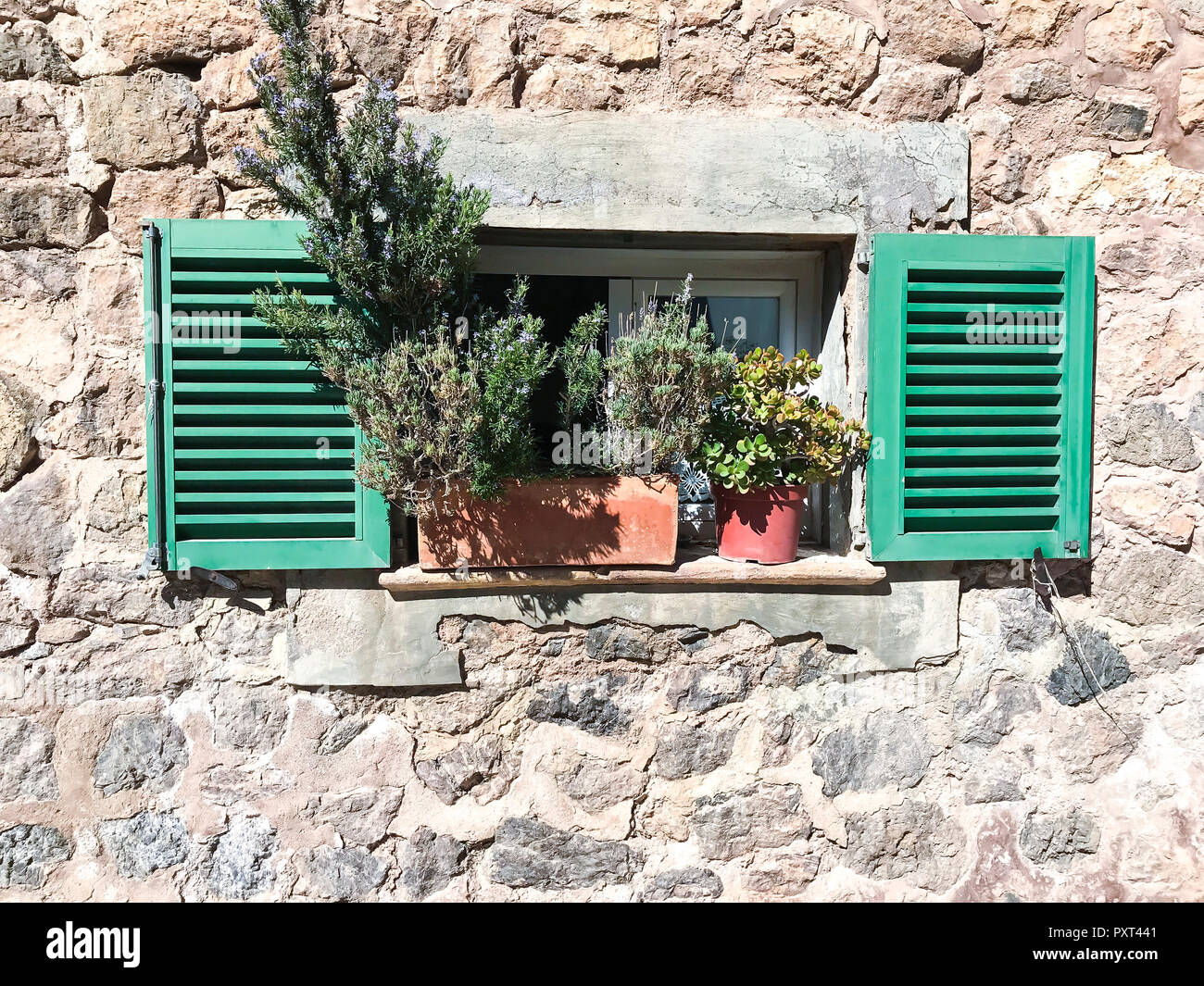 Flower pots on old stone wall. Studio Photo Stock Photo - Alamy